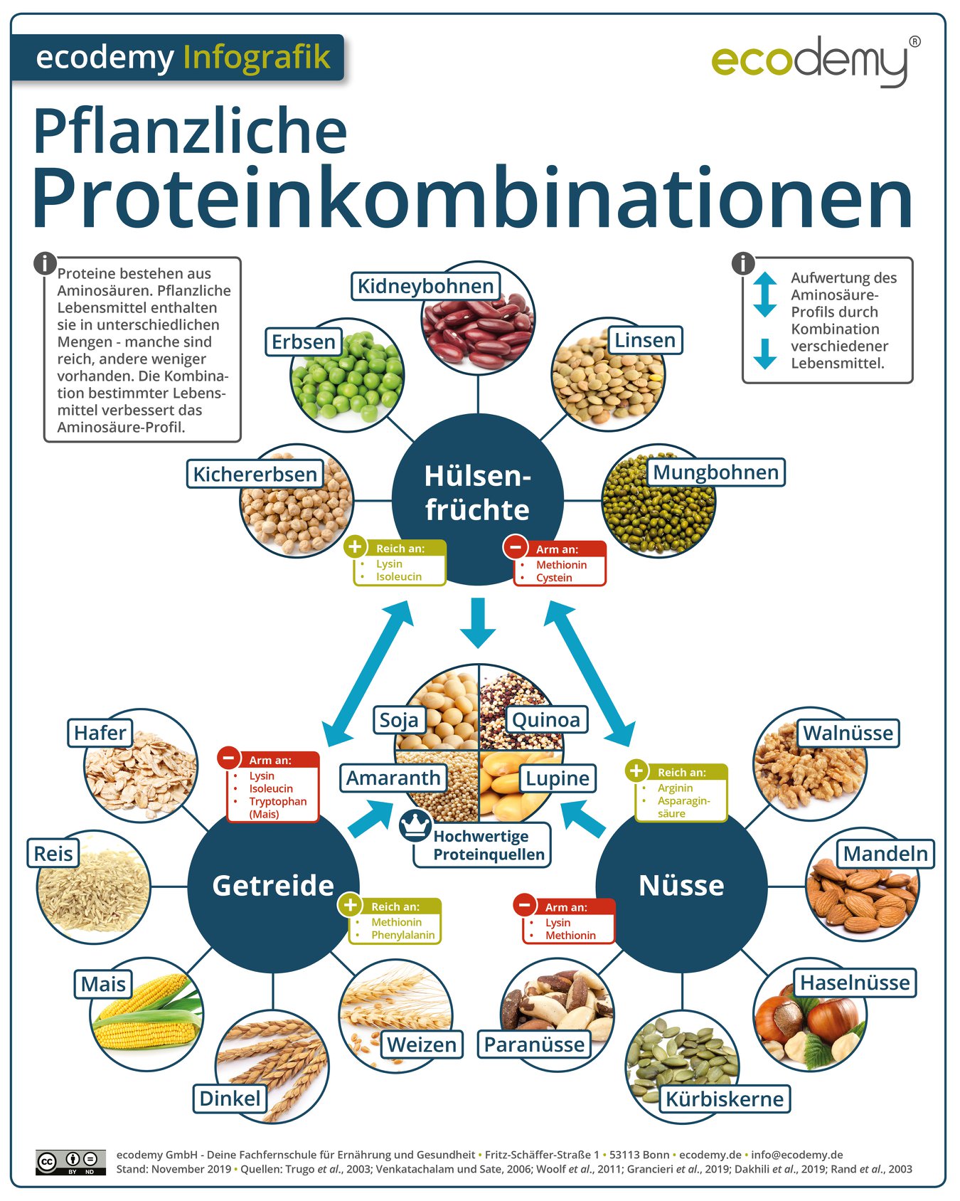 ecodemy - Vegan studieren! | Deutschland is(s)t vegan