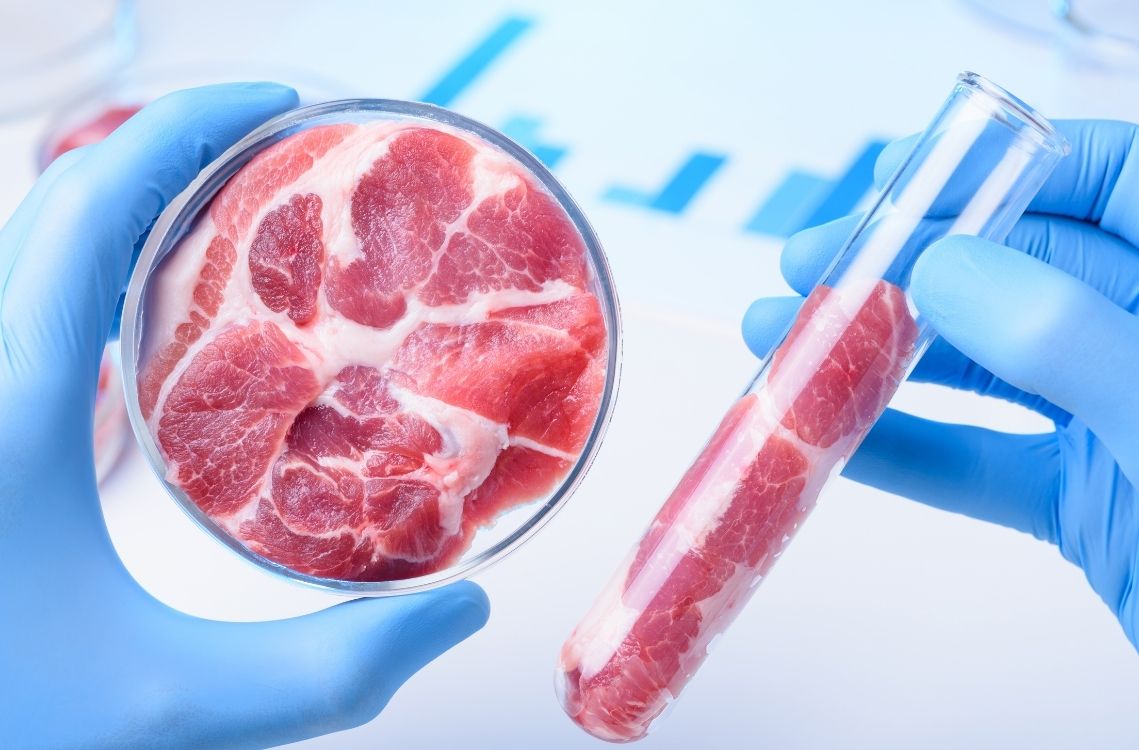 Clean Meat - Das hat es mit In-vitro-Fleisch auf sich | Deutschland is ...